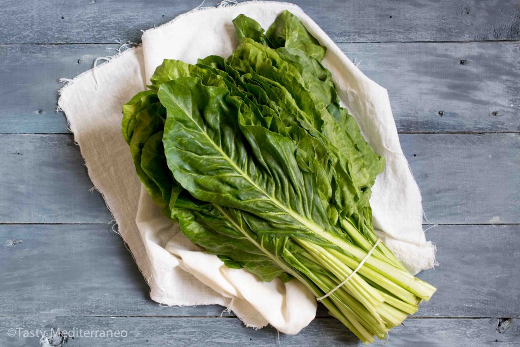 Feuilles de blettes farcies – recette Libanaise – Tasty Mediterraneo