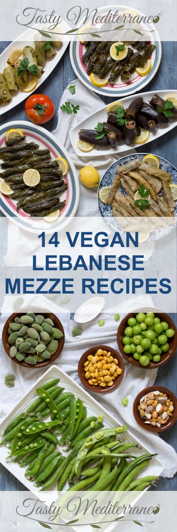 14 VEGAN LEBANESE MEZZE RECIPES – Tasty Mediterraneo